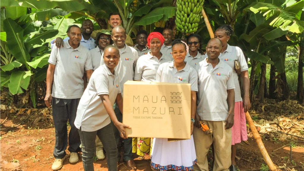 Maua Mazuri : A Pivotal Role For the Sustainable Agriculture in ...